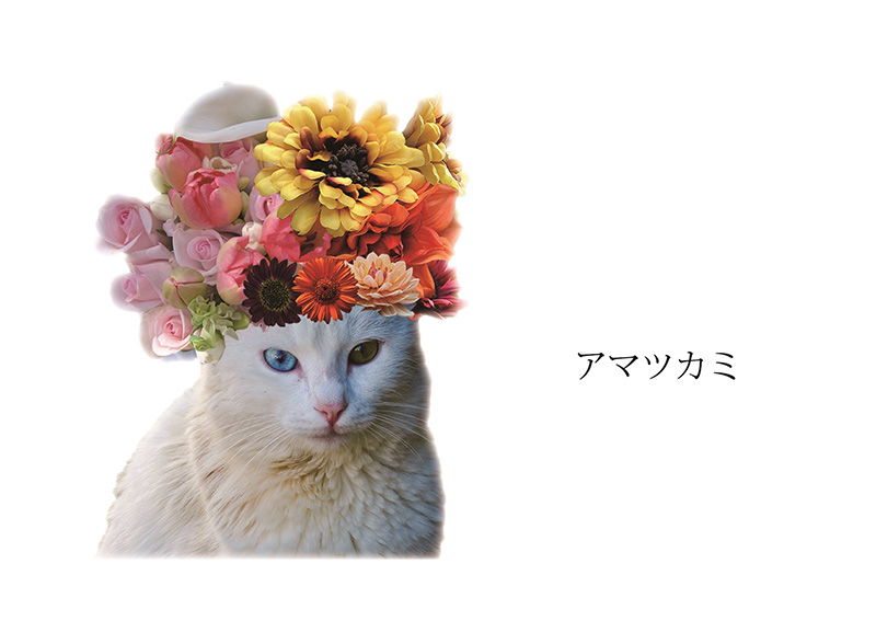 アマツカミ - AMATSUKAMI TOKYO [Official Site]